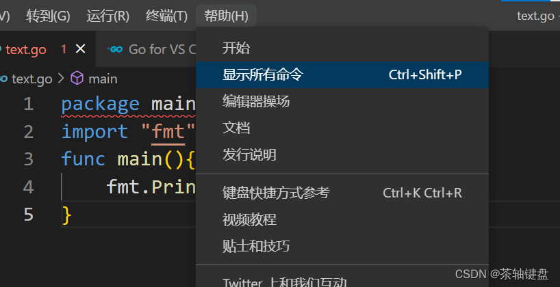 GO语言的vc code配置。_vc配置go环境-CSDN博客