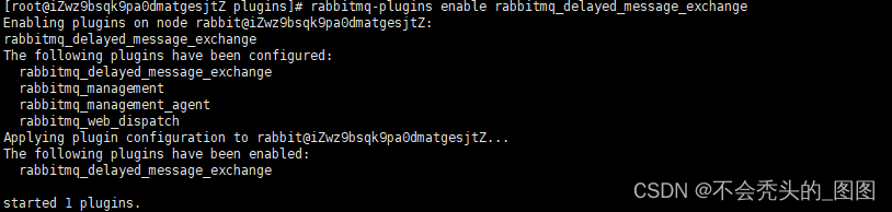 安装Rabbit插件失败 {:plugins_not_found, [:rabbitmq_delayed_message_exchange]}_安装rabbitmq页面管理插件失败-CSDN博客