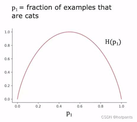 【吴恩达机器学习笔记】Part2-Week4（上） 决策树（Decision Trees）_决策树 吴恩达-CSDN博客