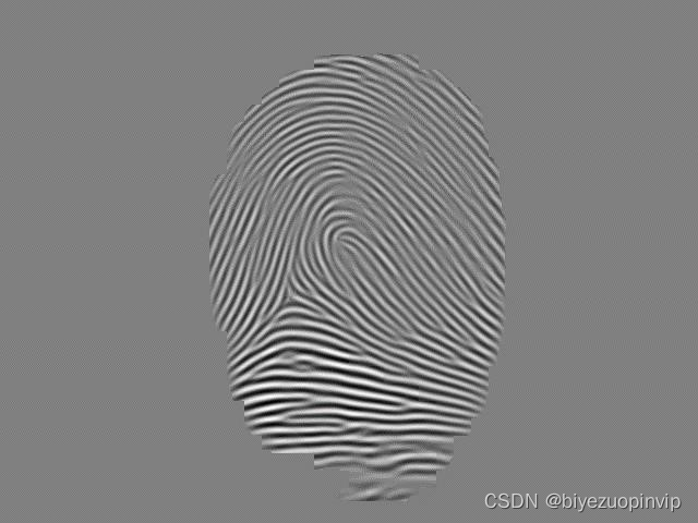 Matlab实现的数字图像处理(指纹增强)数字图像处理指纹识别 Csdn博客