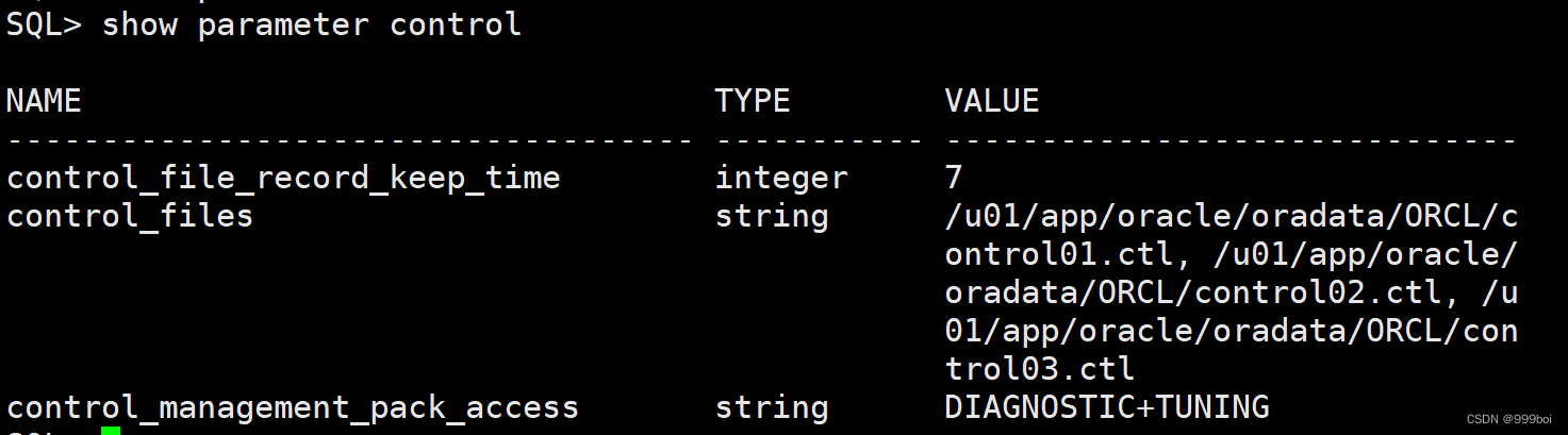 oracle 控制文件controlfile通过pfile复用_oracle 生成新的controlfile-CSDN博客