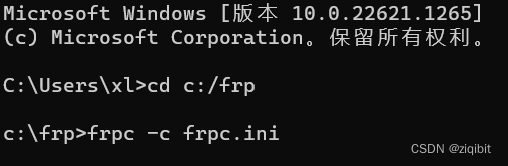 frp 内网穿透 多系统 多模式（详细+多个应用）_frpc-CSDN博客