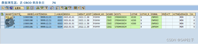 SAP PS 18节 常见问题-来源于PS群分享_sap cj40n-CSDN博客