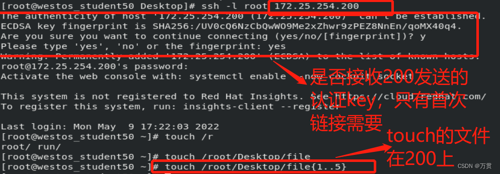 第十一章：Linux中的远程登陆服务_the key's randomart image is: +---[rsa 3072]----+-CSDN博客