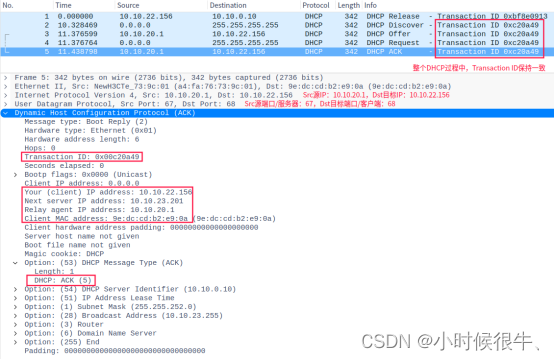 DHCP抓包-Wireshark分析-CSDN博客