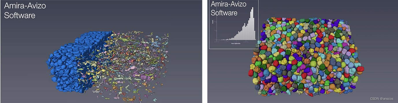 【Avizo 】为科学及工业领域数据提供领先的高性能三维可视化及分析解决方案_avizo asfrc-CSDN博客