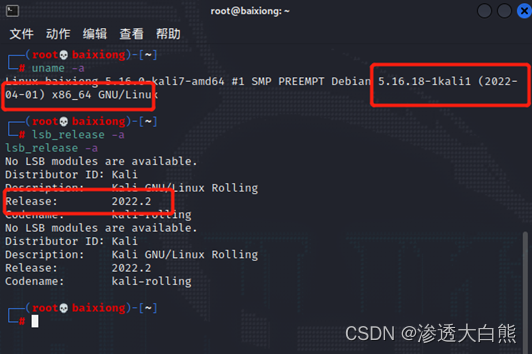 kali操作系统＋信息搜集工具_kali rlwrap-CSDN博客