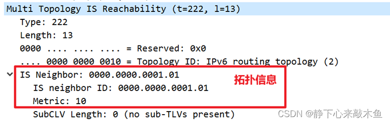 ISIS对IPv6的支持_静下心来敲木鱼的博客-CSDN博客