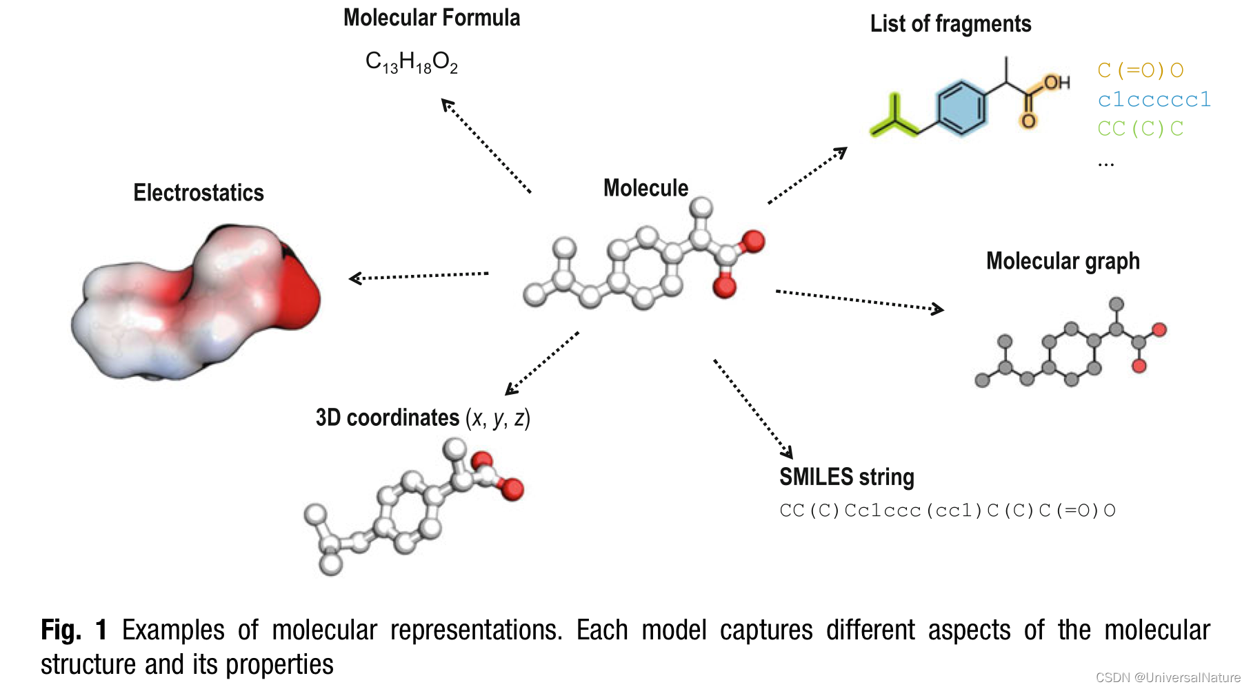 Chapter9 : De Novo Molecular Design with Chemical Language Models_loss valid molecules-CSDN博客