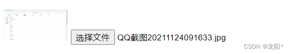 使用jquery或vue实现图片上传实时回显在页面img标签上input标签和jquery实现多图片的上传和回显功能 Csdn博客
