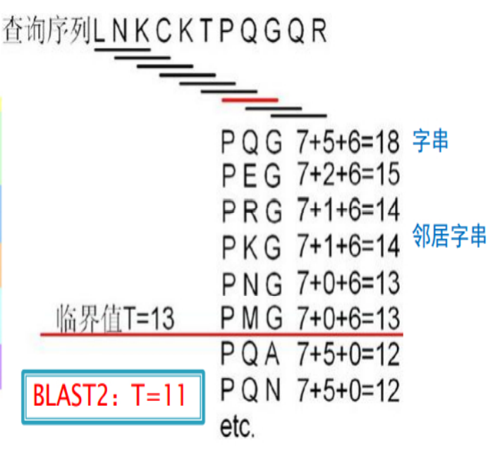 BLAST原理和用法总结（一）_blast算法-CSDN博客