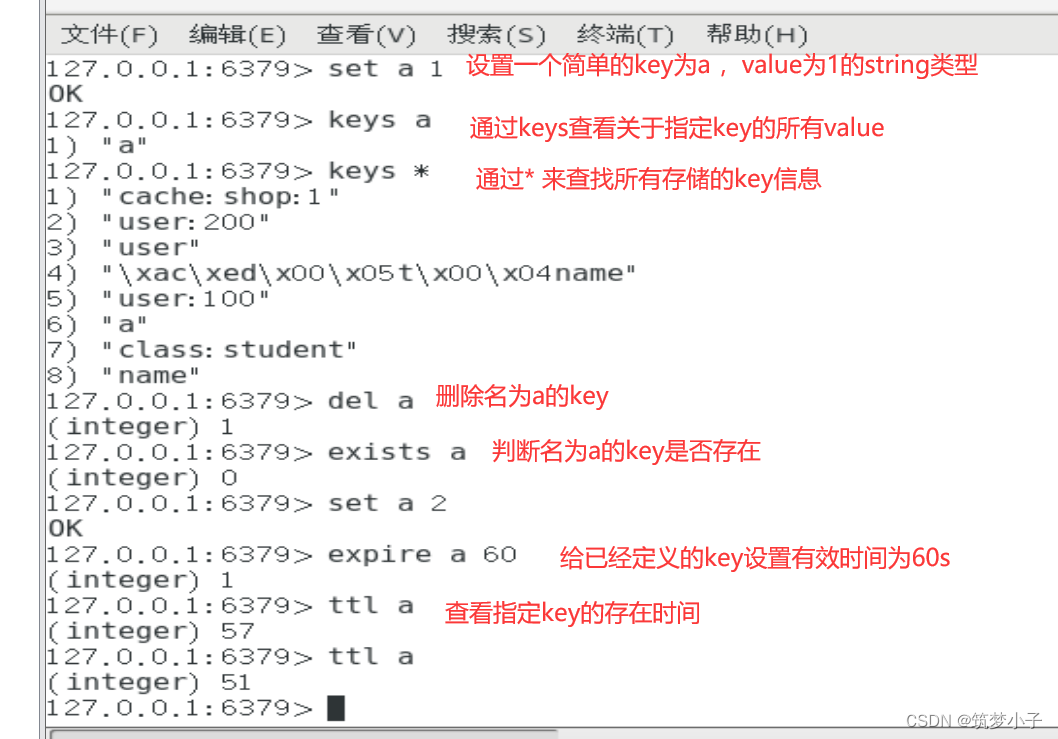 初识Redis常见基本命令_redis基本数据命令-CSDN博客