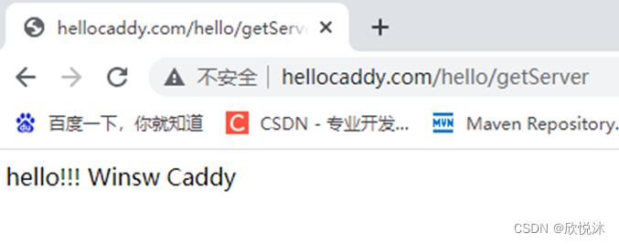Windows服务Nssm与Caddy2反向代理_caddy windows-CSDN博客