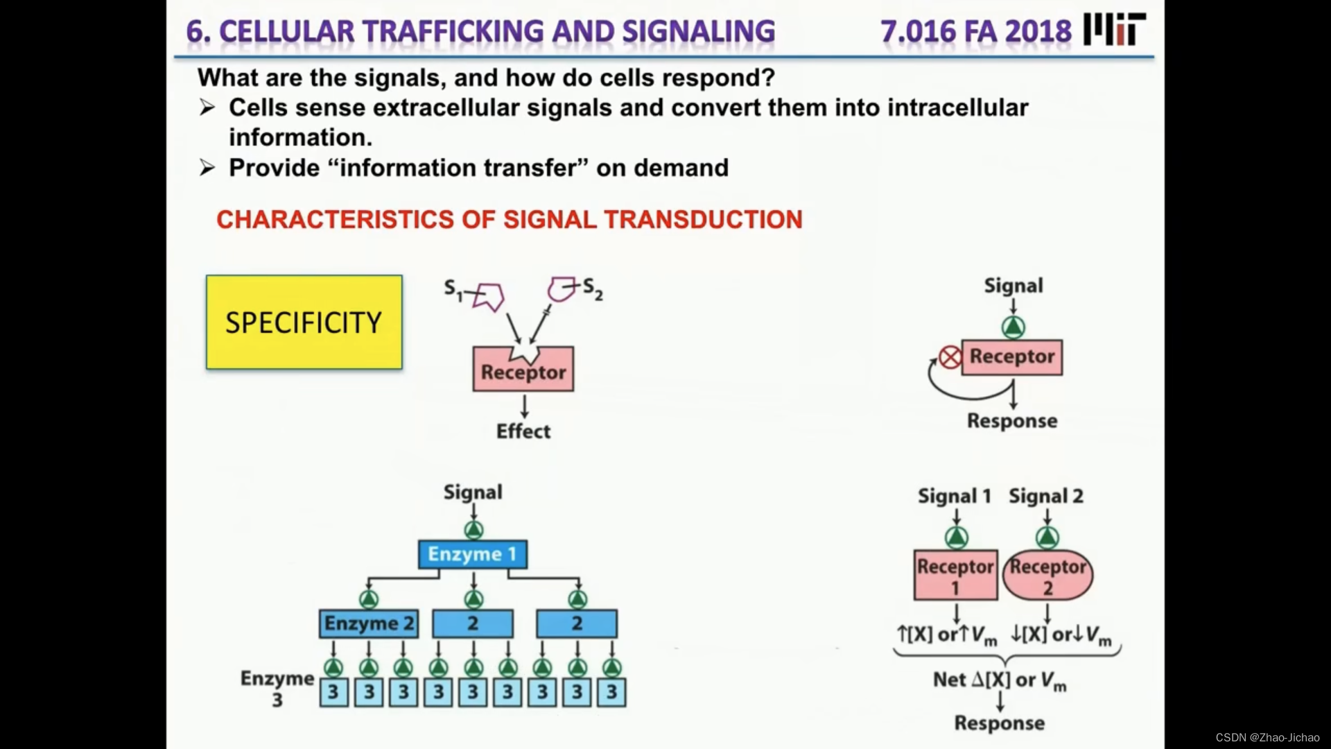 【Introductory Biology】Lecture 20 - Cell Signaling 1 - Overview 细胞信号1 ...