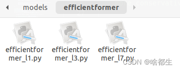保姆级使用PyTorch训练与评估自己的EfficientFormer网络教程_enformer-pytorch-CSDN博客