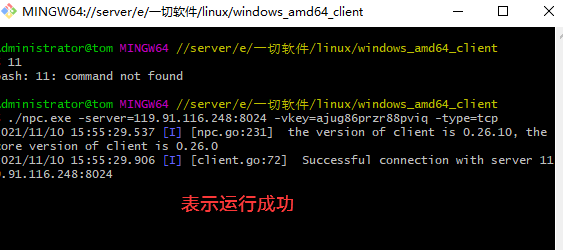 linux npc 安装_npc安装-CSDN博客