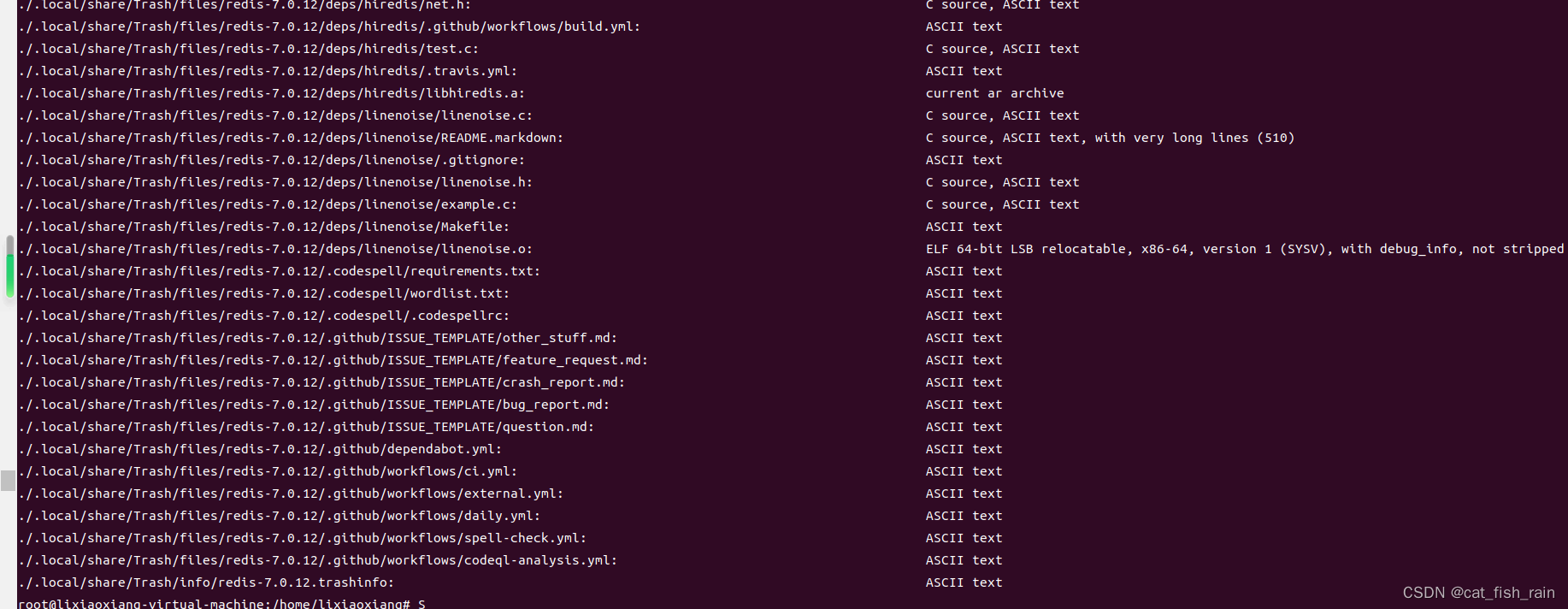 Linux 系统编程-开发环境(一）_linu环境开发-CSDN博客