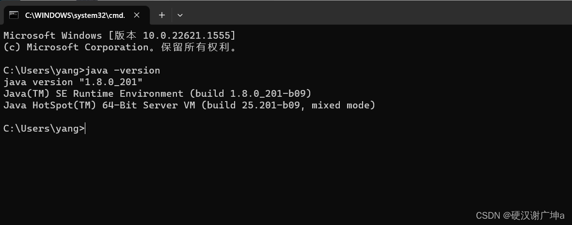 Java环境配好后jar文件打开命令框闪退,无打开方式,无反应 技术分享 云服务器