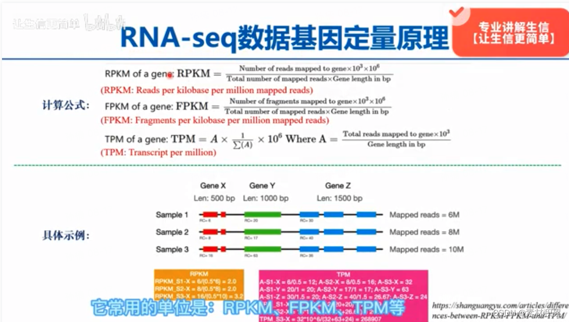 RNA-seq 测序技术、数据类型相关_strna-seq-CSDN博客