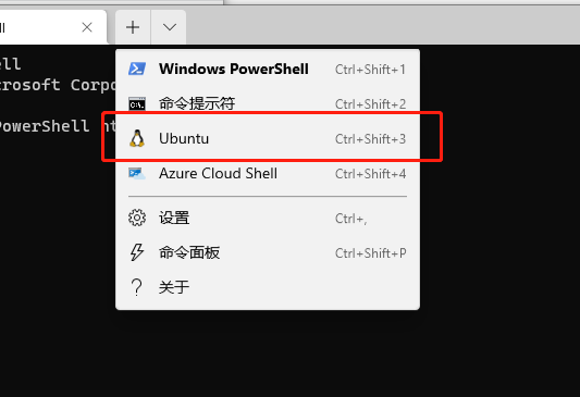 webstorm配置wsl2运行node项目_webstorm wsl_404QAQ的博客-CSDN博客