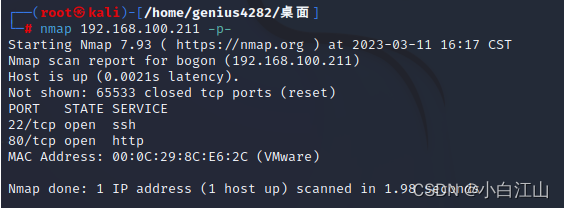 WebDeveloper内网渗透流程（新手流程梳理）_有webconfig如何渗透-CSDN博客