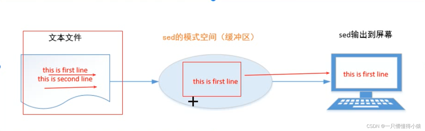 三剑客--sed-CSDN博客