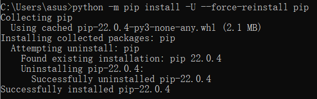 Python更新pip版本至22.0.4_已经安装了pip 22版本-CSDN博客