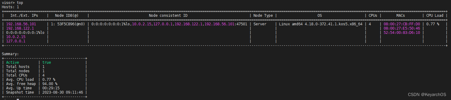 在KeyarchOS上安装和配置Apache Ignite：一种高性能的内存计算平台_apache ignite sql命令-CSDN博客