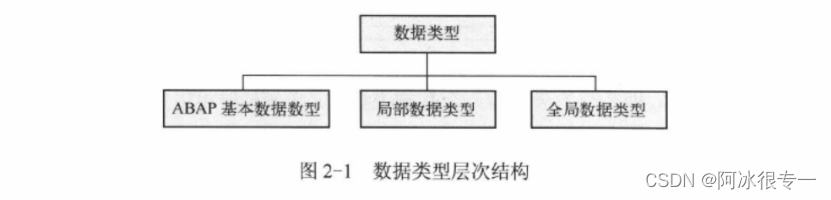 Abap学习笔记之——第二章：数据类型abap数据类型 Csdn博客