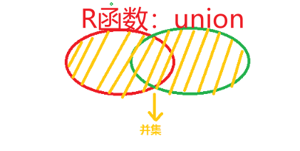 R语言中交集，并集，补集，差集的方法：向量和数据框_r语言取差集-CSDN博客