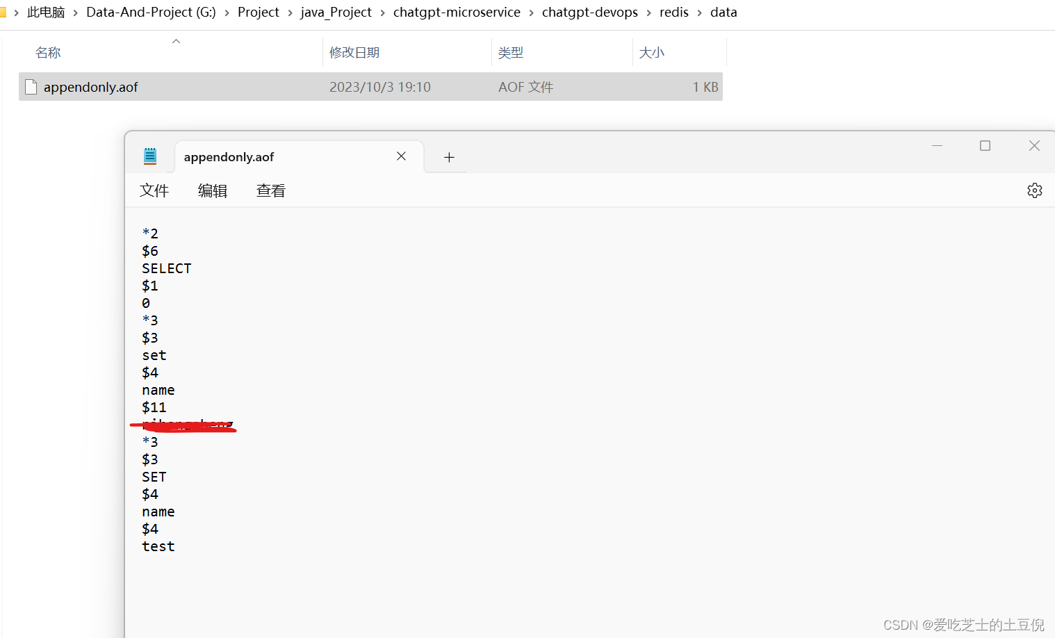 使用docker构建本地redis容器及配置 创建redis容器 配置文件在哪里 Csdn博客