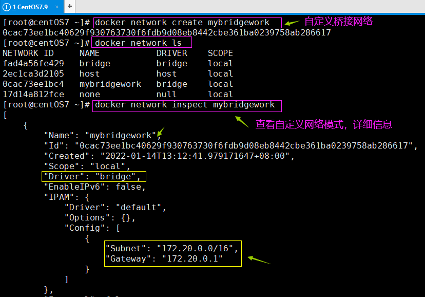 Docker学习：容器五种(3+2)网络模式 | bridge模式 | host模式 | none模式 | container 模式 | 自定义网络模式详解-CSDN博客
