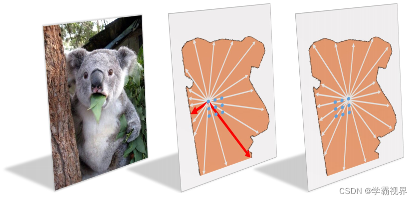 Single Shot Instance Segmentation With Polar Representation基于极坐标表示的单阶段实例分割极坐标分割 2023 Csdn博客