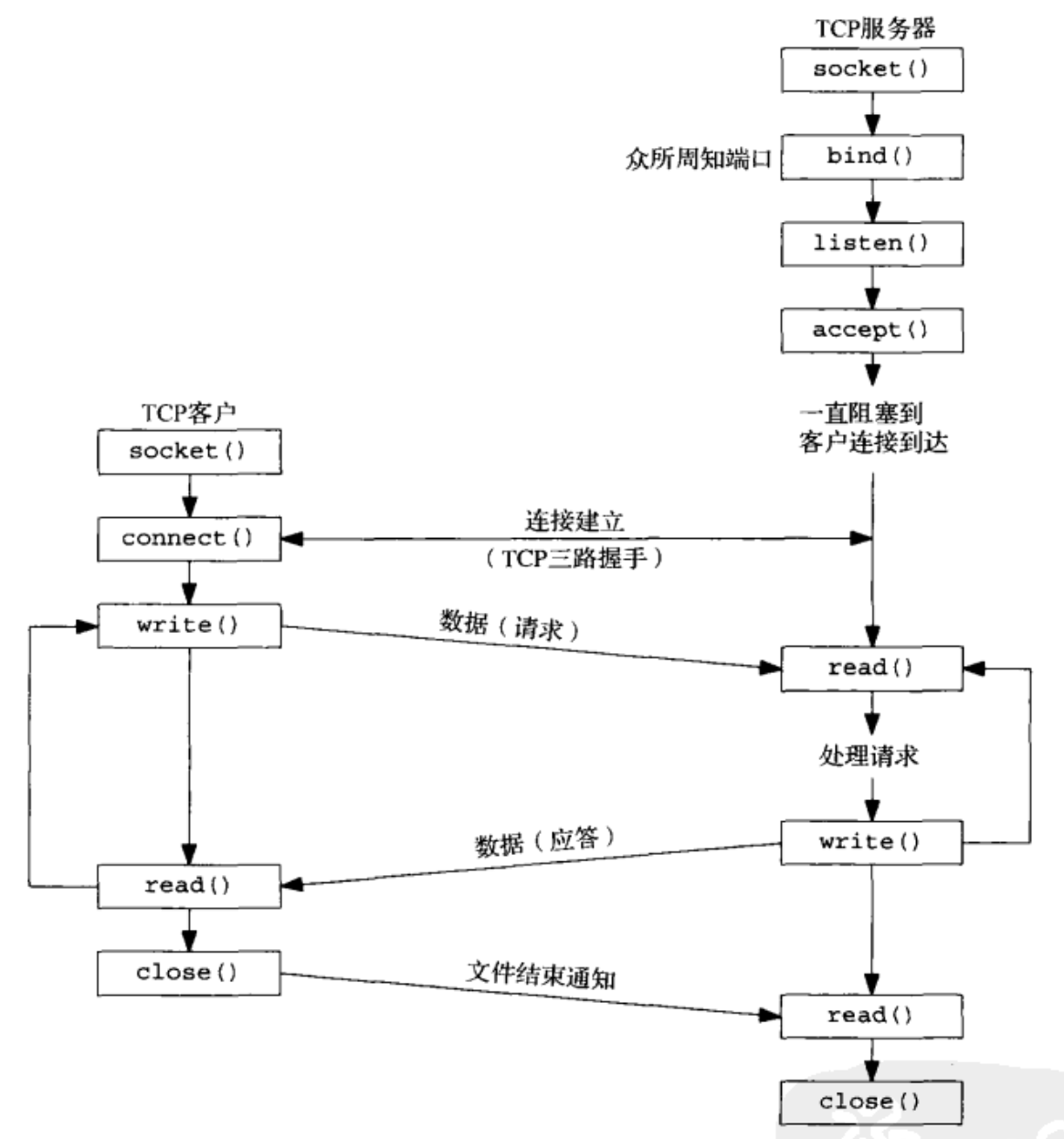 【手把手教你写服务器】客户端程序和服务器程序的简单实现 有客服端怎么写服务器 Csdn博客