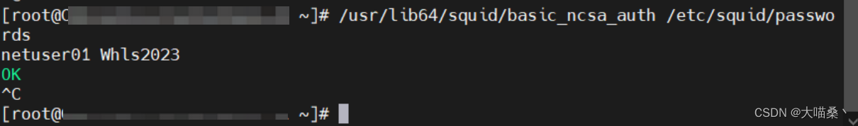 Centos7部署Squid正向代理（带用户认证）_squid ssl 正向代理-CSDN博客