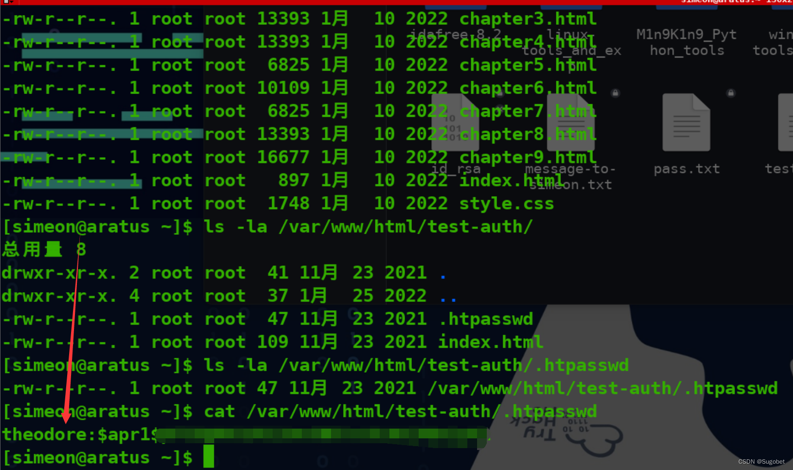 TryHackMe-Aratus（boot2root）_boot2root软件-CSDN博客