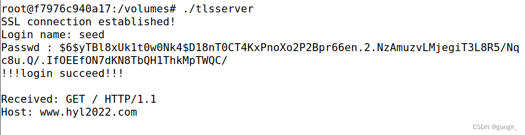 seedlab:Virtual Private Network Lab-CSDN博客