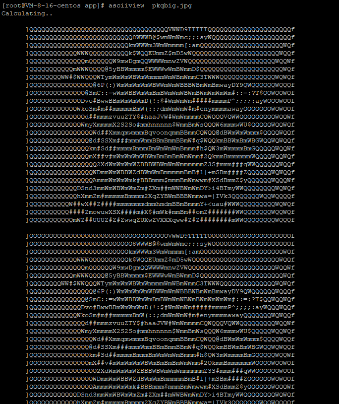 【linux】如何实现将图片用代码打印出来_linux打印图片-CSDN博客