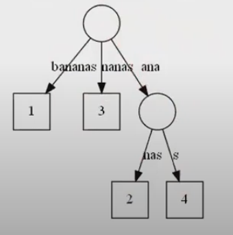串之Ukkonen、Rabin_karp算法_ukkonen's algorithm-CSDN博客