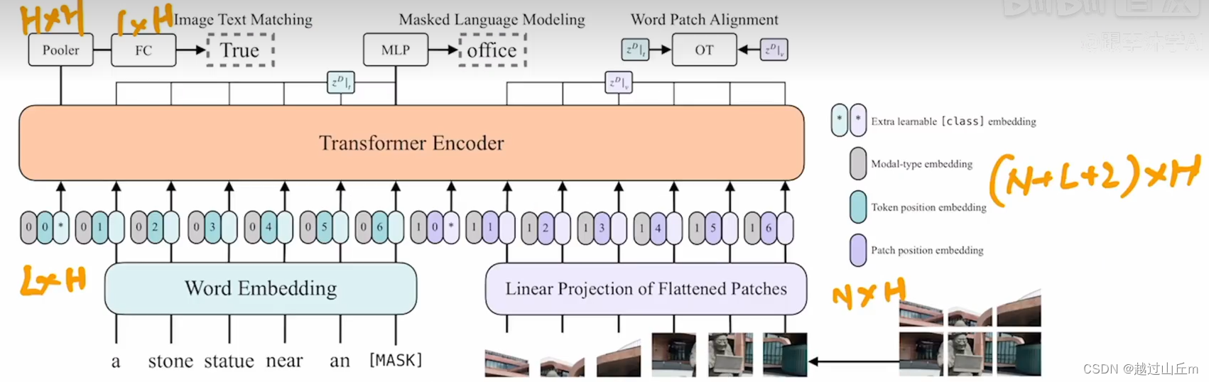 ViLT视觉文本多模态_vilt模型-CSDN博客
