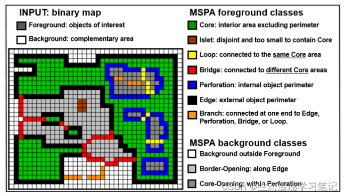 形态学空间格局分析(MSPA)——Arcmap结合GuidosToolbox（以分析森林景观为例）-CSDN博客