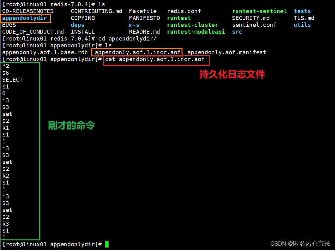Linux中安装redis Csdn博客