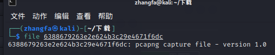 xctf攻防世界 MISC高手进阶区 互相伤害_攻防世界互相伤害!!!_l8947943的博客-CSDN博客