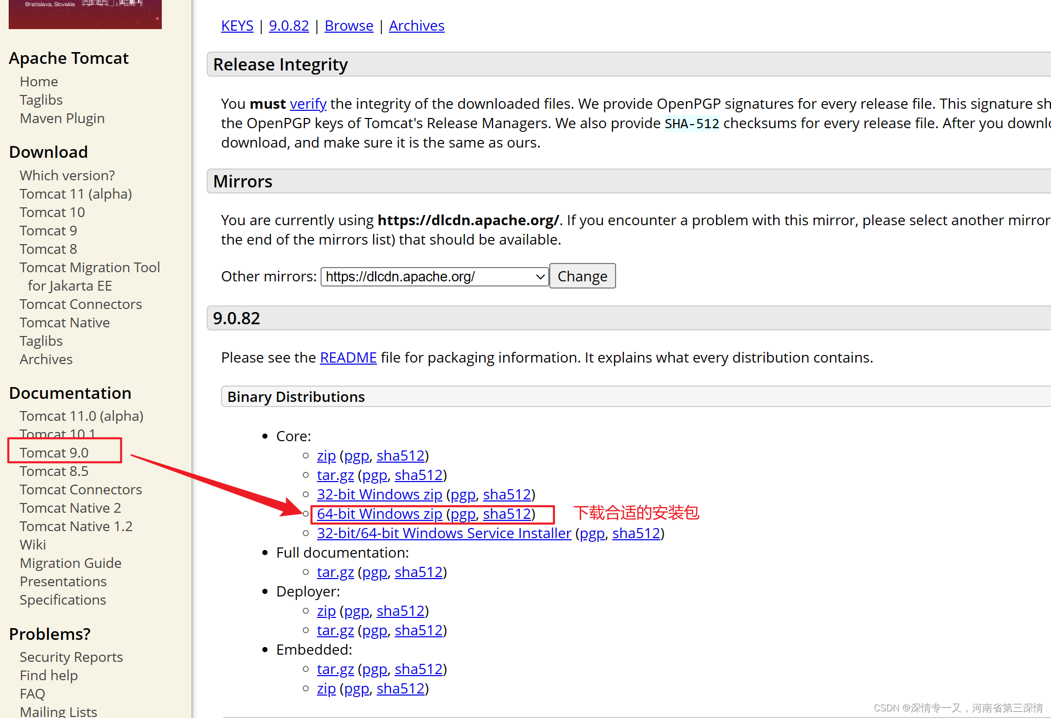 TomCat的下载和配置_apache-tomcat-9.0.82-CSDN博客