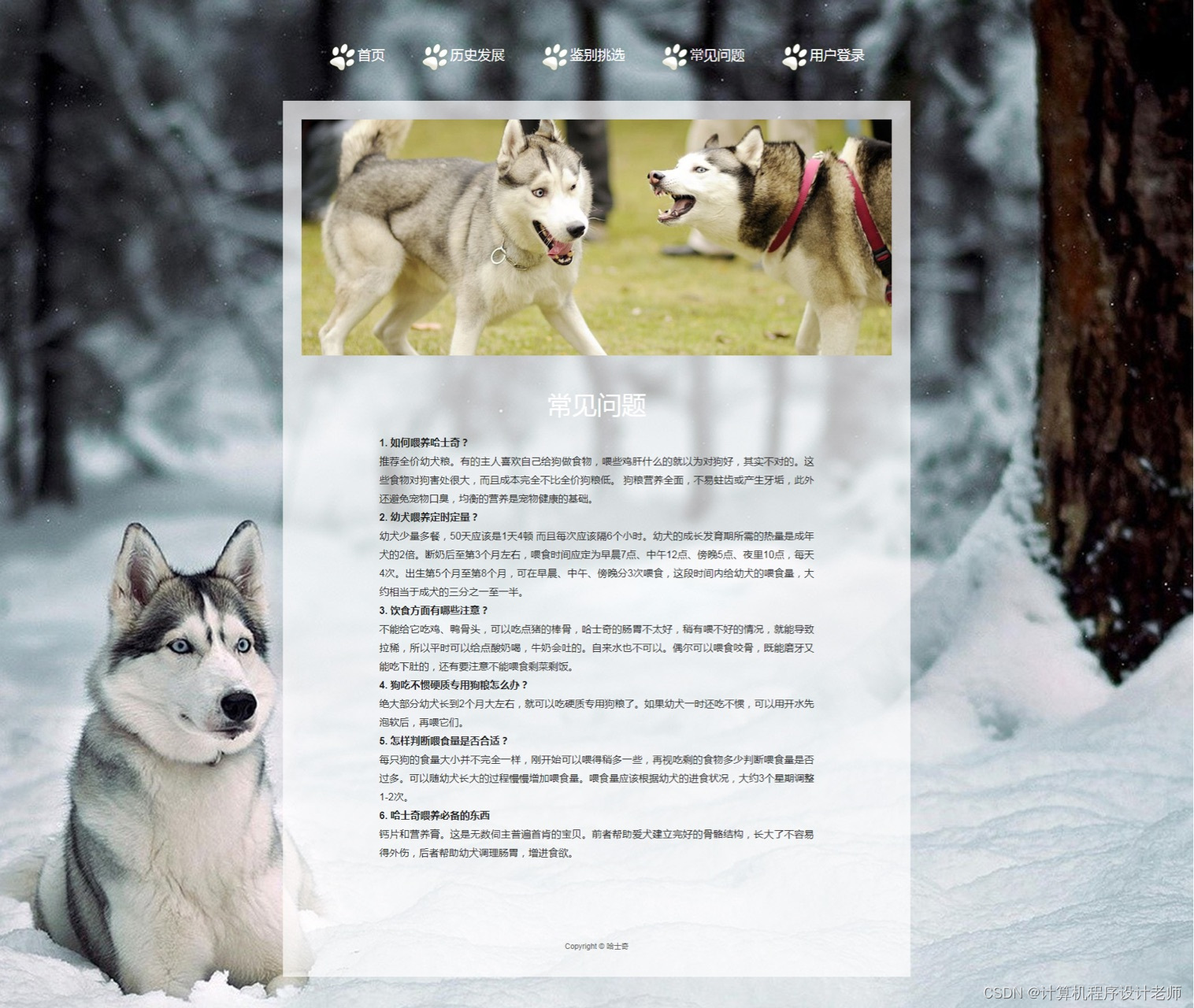 Html网页设计期末作业宠物主题静态网页制作成品5页div Css布局 Csdn博客