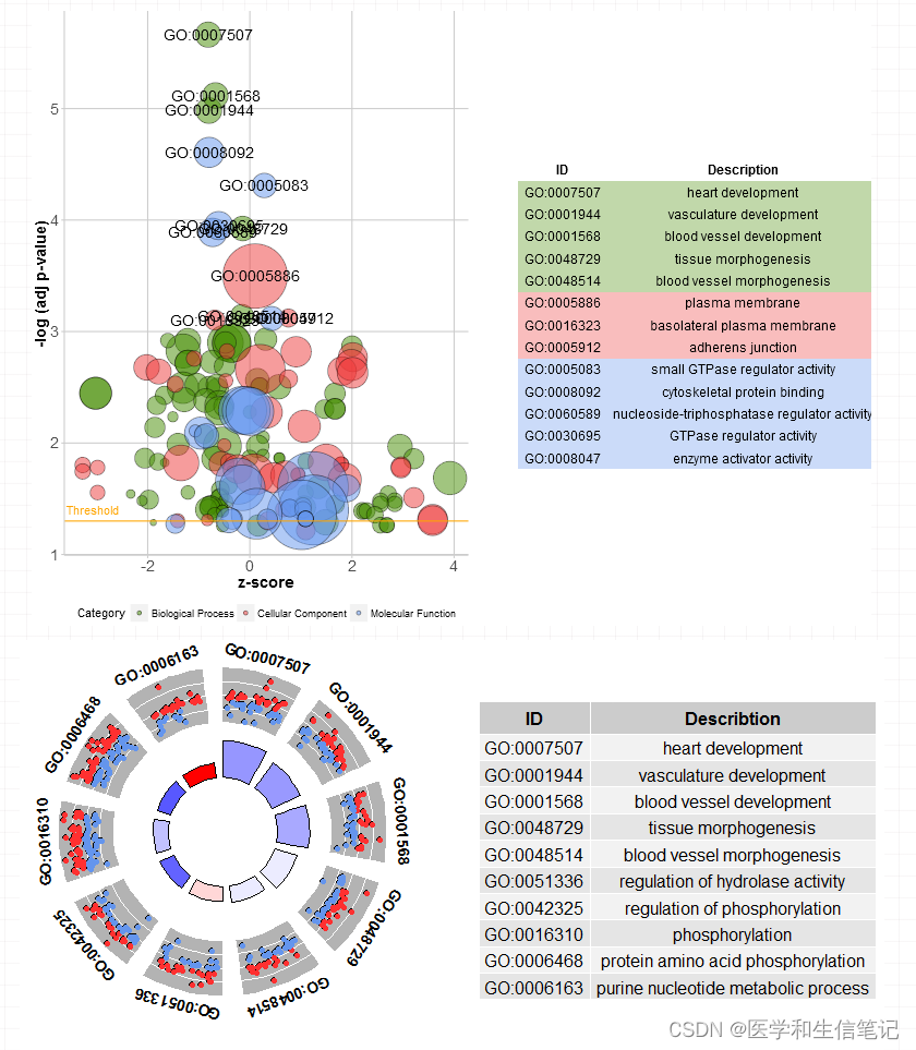 GOplot富集分析可视化_go cluster plots如何解读-CSDN博客