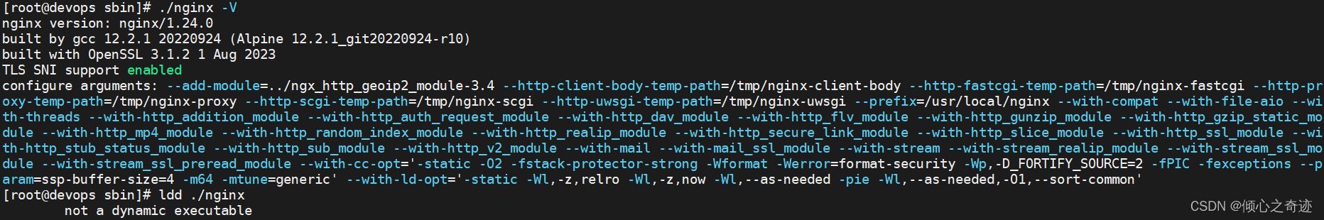 Nginx静态编译_nginx 静态编译-CSDN博客