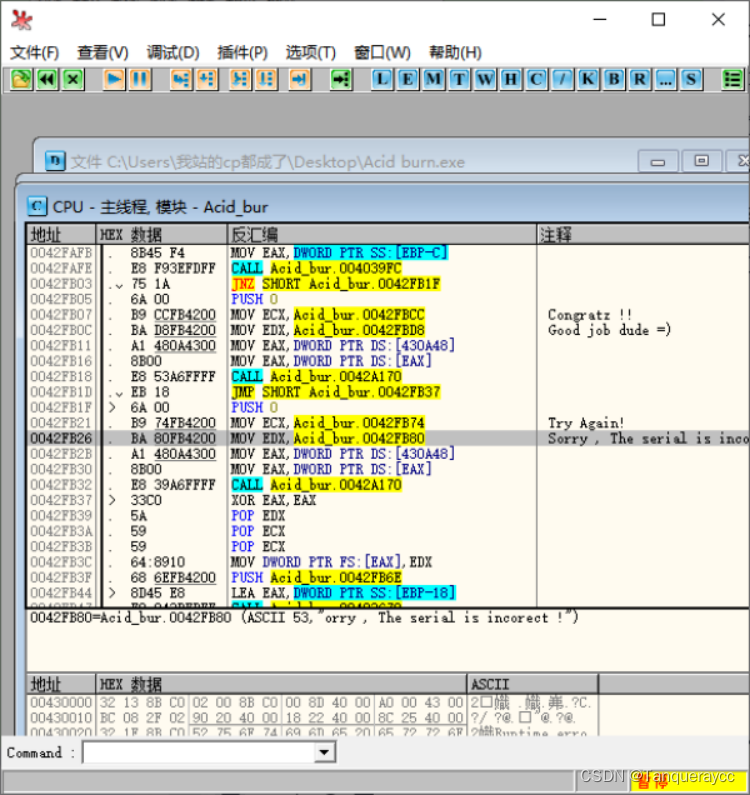 OllyDBG 破解crackme160第一个Acid_burn详细解析_天累无e64eea-CSDN博客