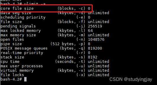 docker容器core文件占用空间太大and同步容器本机时间_docker core文件-CSDN博客