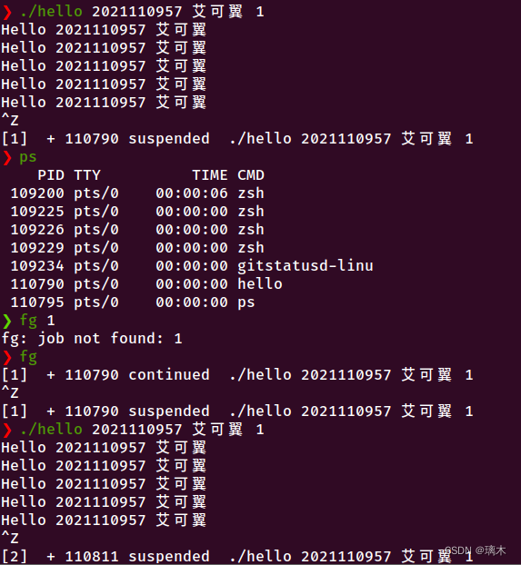 哈尔滨工业大学计算机系统大作业——hello的一生_execve启动加载器-CSDN博客